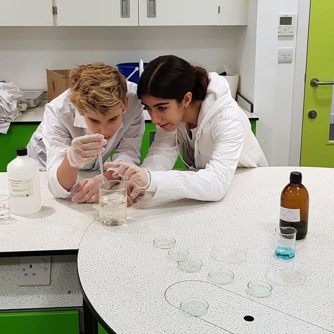 EIFA International School London: Details, Fees and Reviews