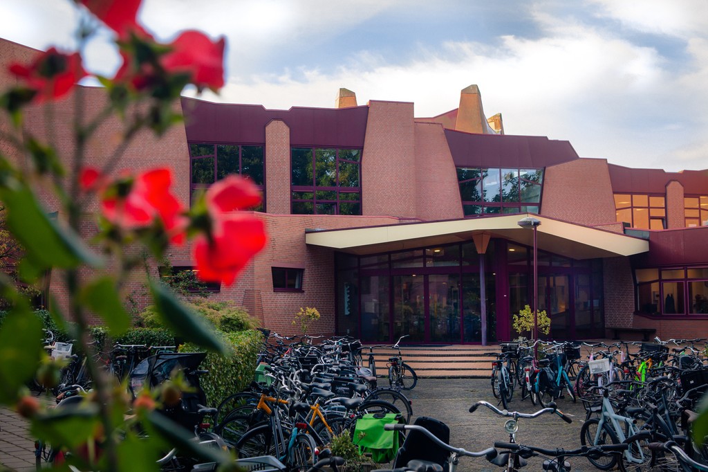 International School of Amsterdam: Details and Fees