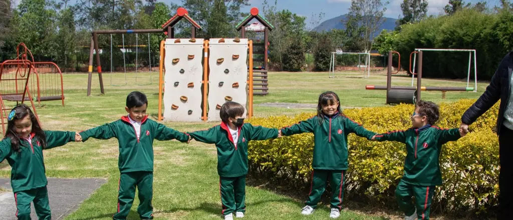 Buckingham School: Details and Information